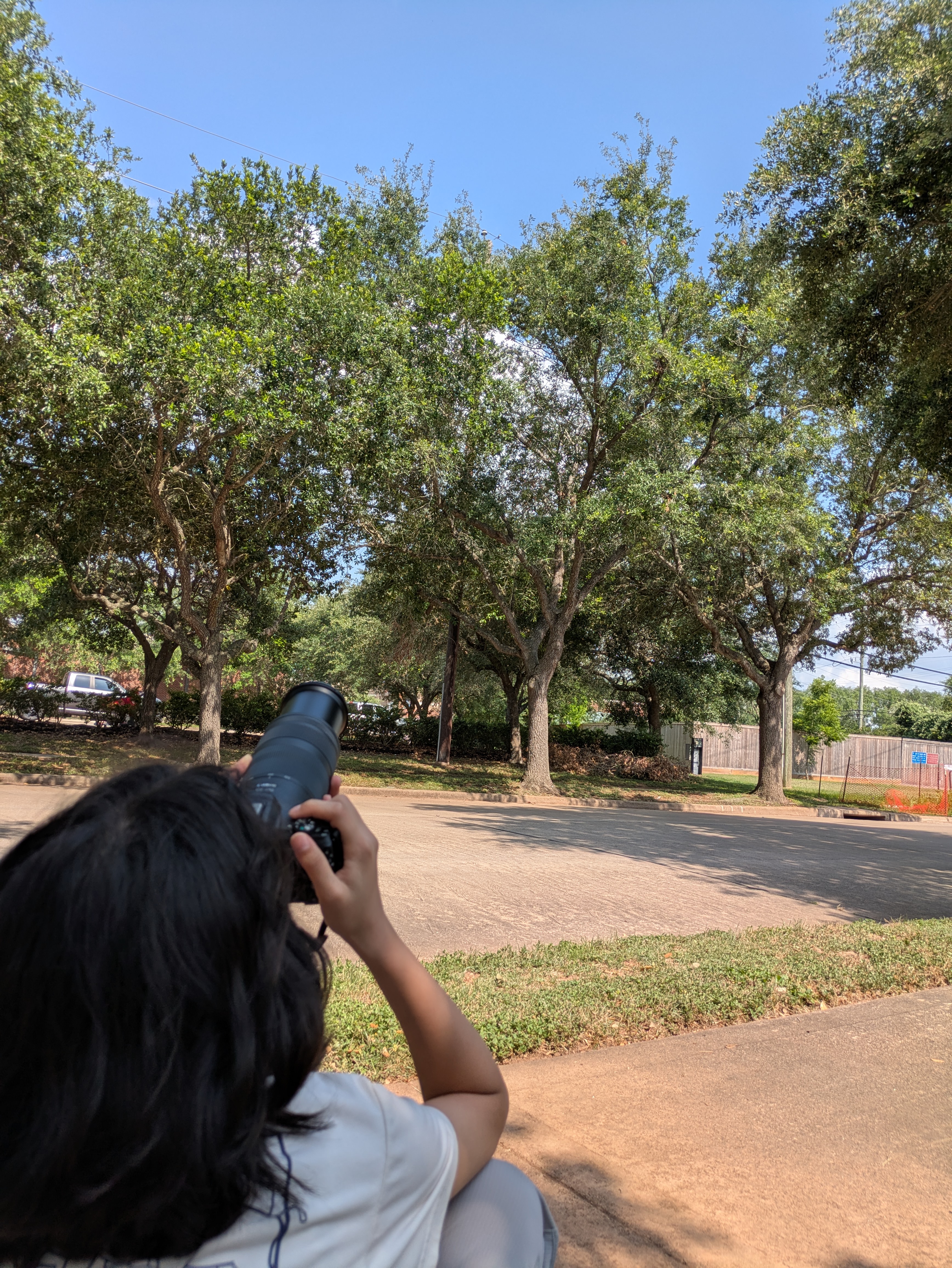 ELLIESCOPE | Birding records, photos, nature notes, and art by Ellie